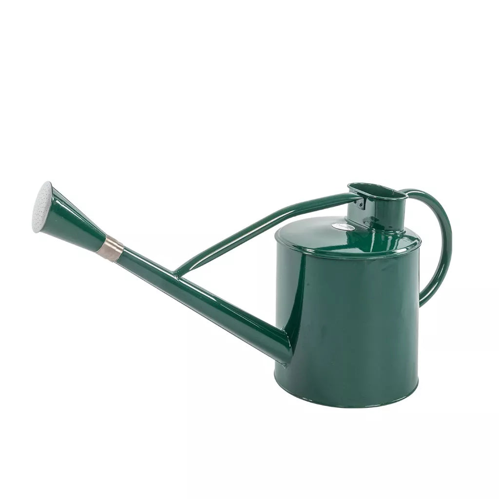 Long Reach Metal Water Can Green 9ltr – Milton Ernest Garden Centre