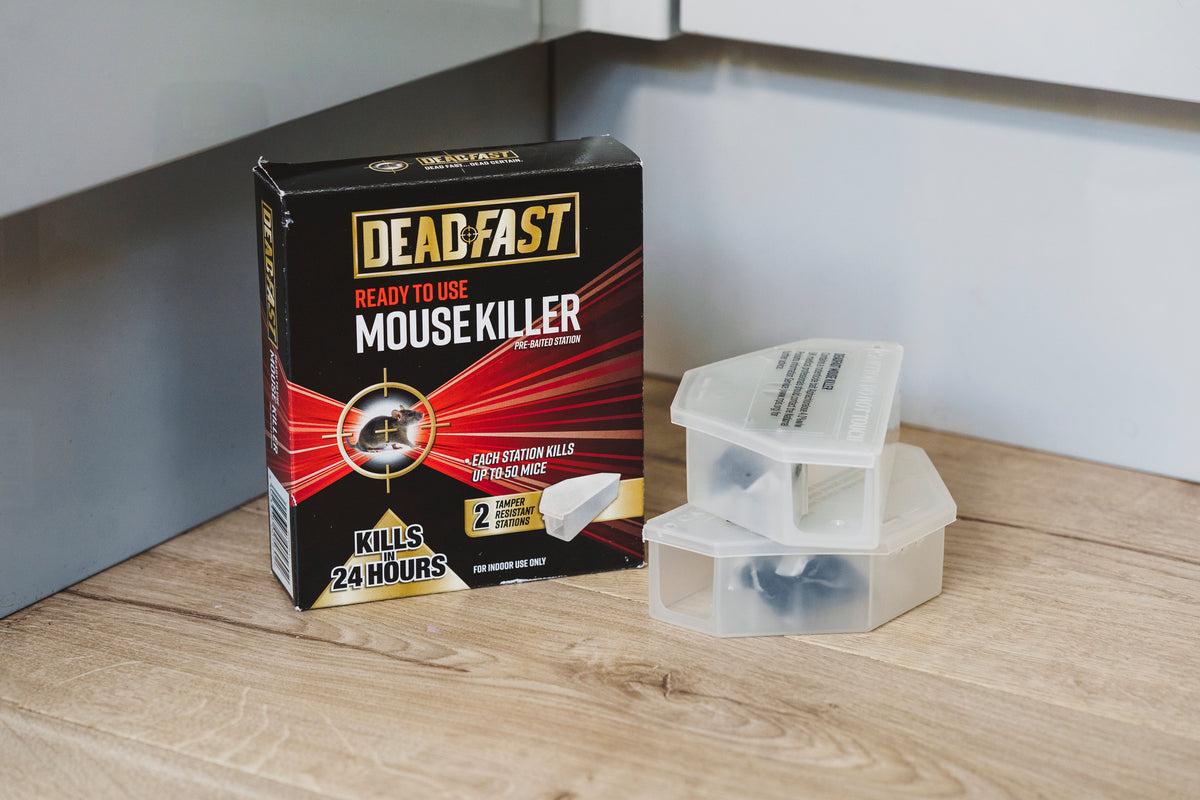 Deadfast Ready to Use Mouse Killer Bait Station Twin Pack - 2 X 10g ...