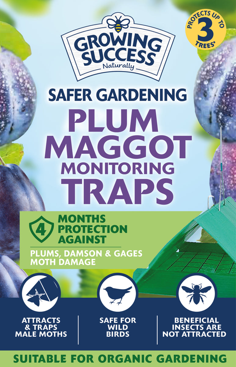 GS Plum Maggot Monitoring Trap – Milton Ernest Garden Centre